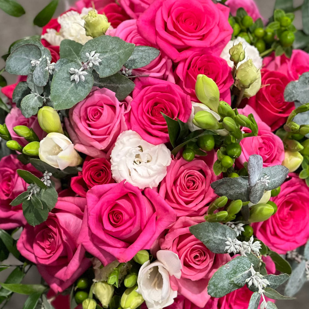 New Baby – TAMAR VALLEY ROSES