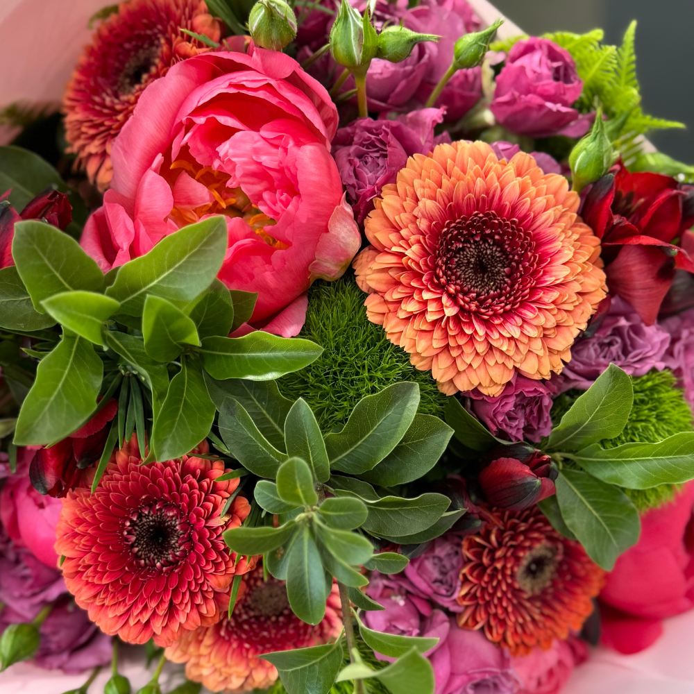 Collections – TAMAR VALLEY ROSES