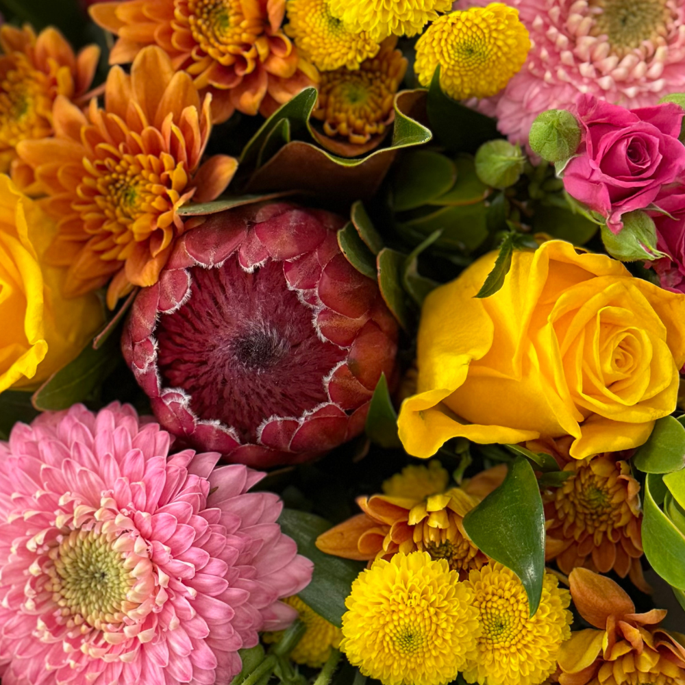 For All Occasions – TAMAR VALLEY ROSES