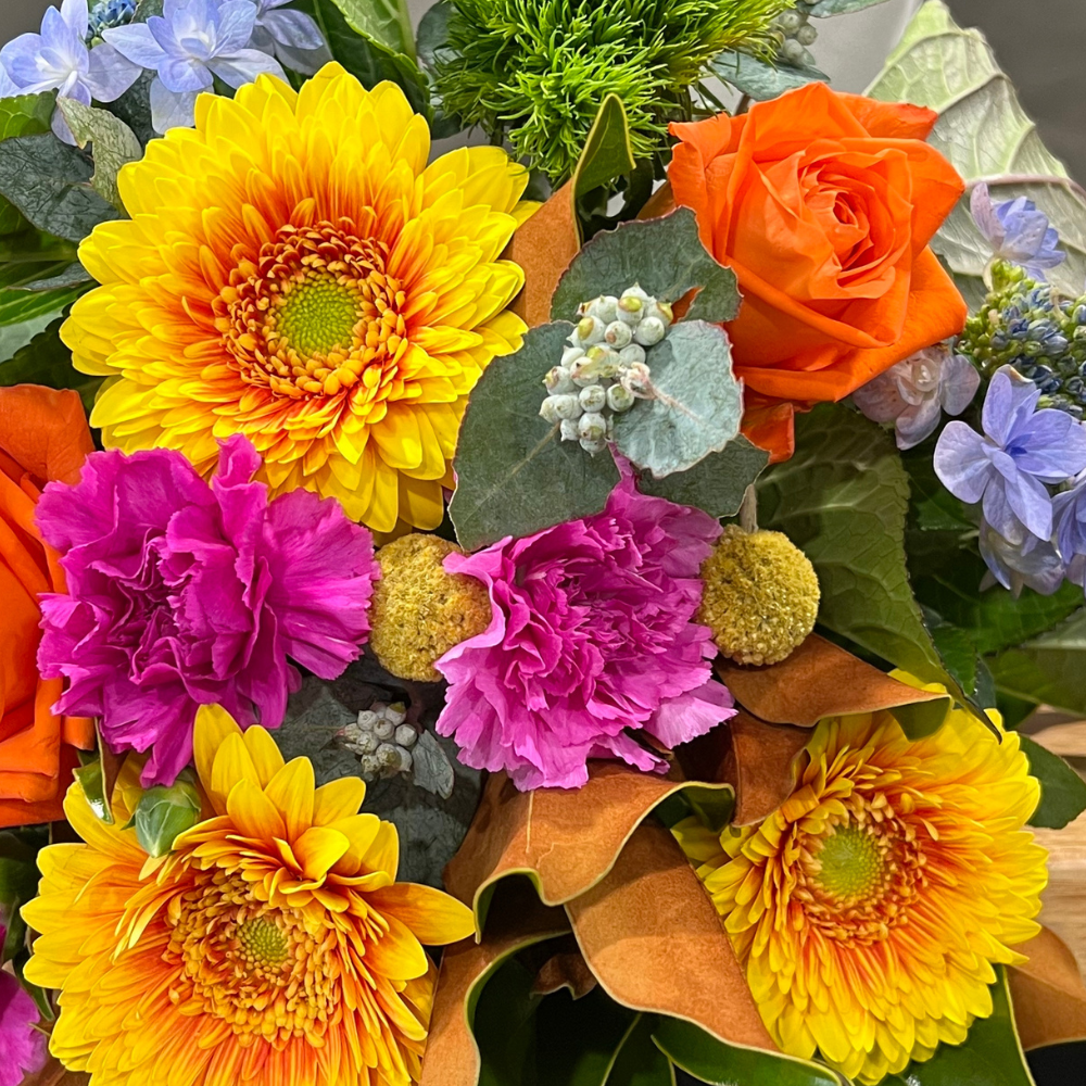 Get Well – TAMAR VALLEY ROSES