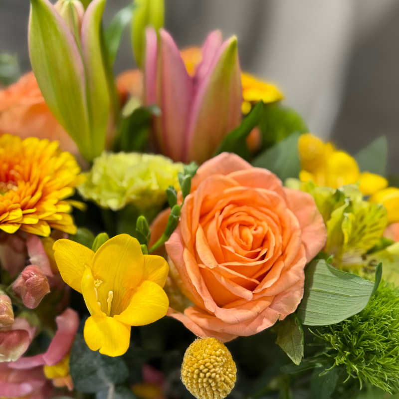 the Tamar Valley Rose shops, for fresh flowers delivered daily ...