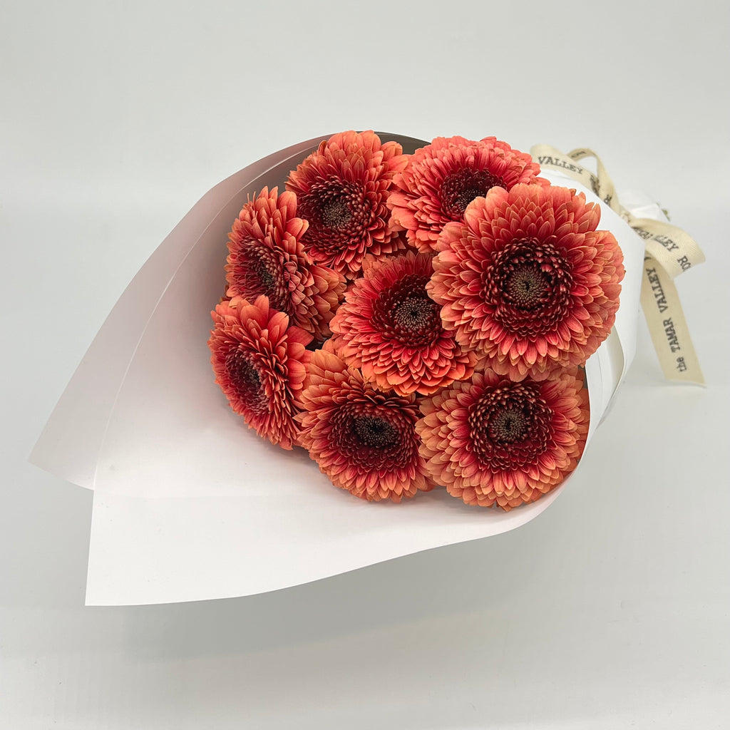 Cut Flower Bunch | Pomponi Gerberas | The Tamar Valley Rose Shop ...
