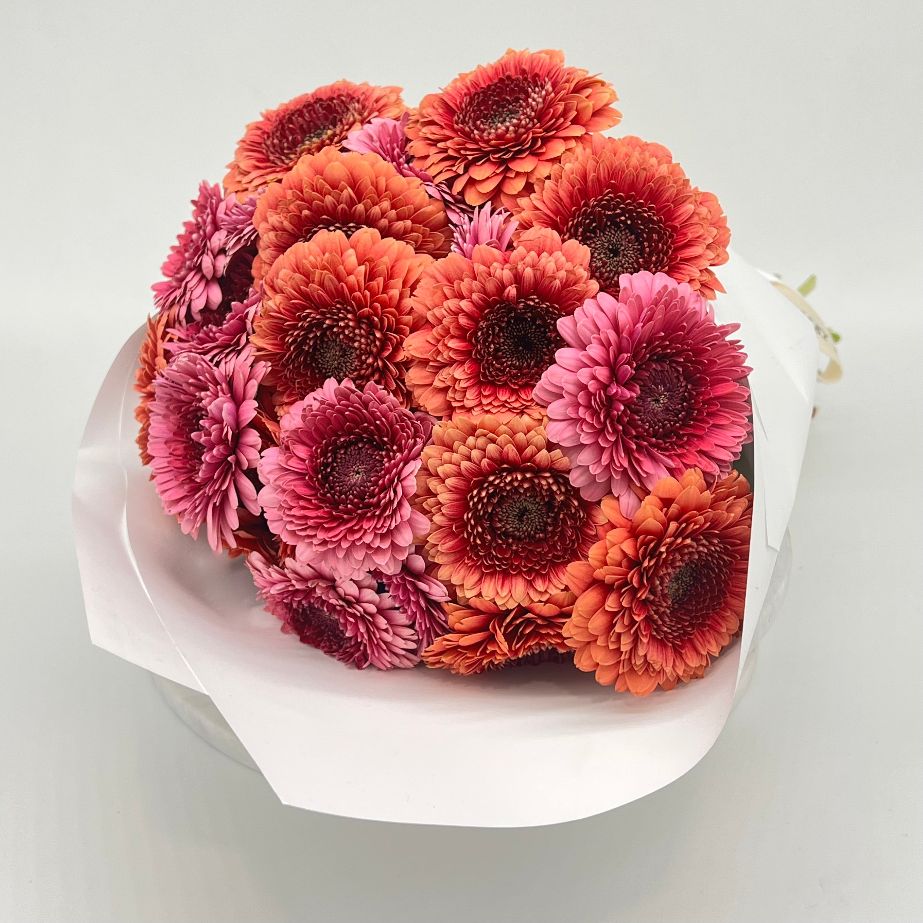 Cut Flower Bunch | Pomponi Gerberas | The Tamar Valley Rose Shop ...